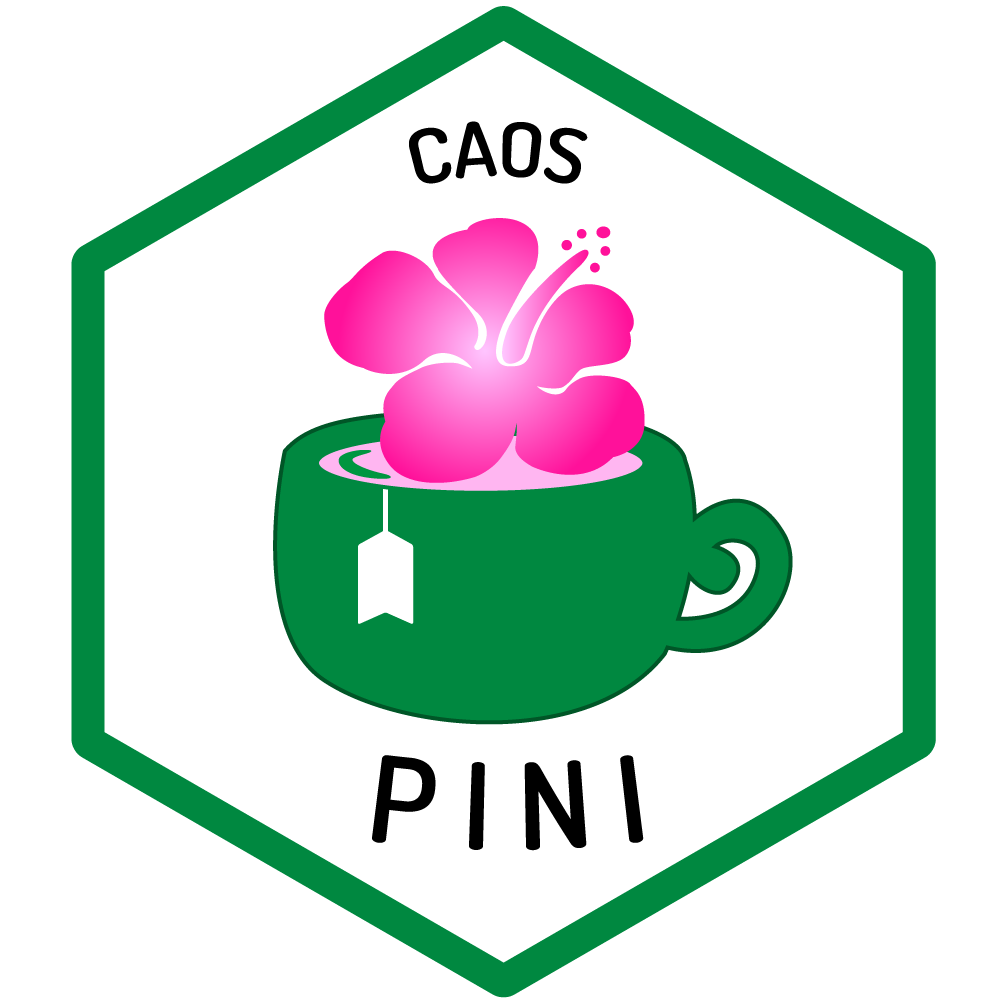Pini - Nivel20